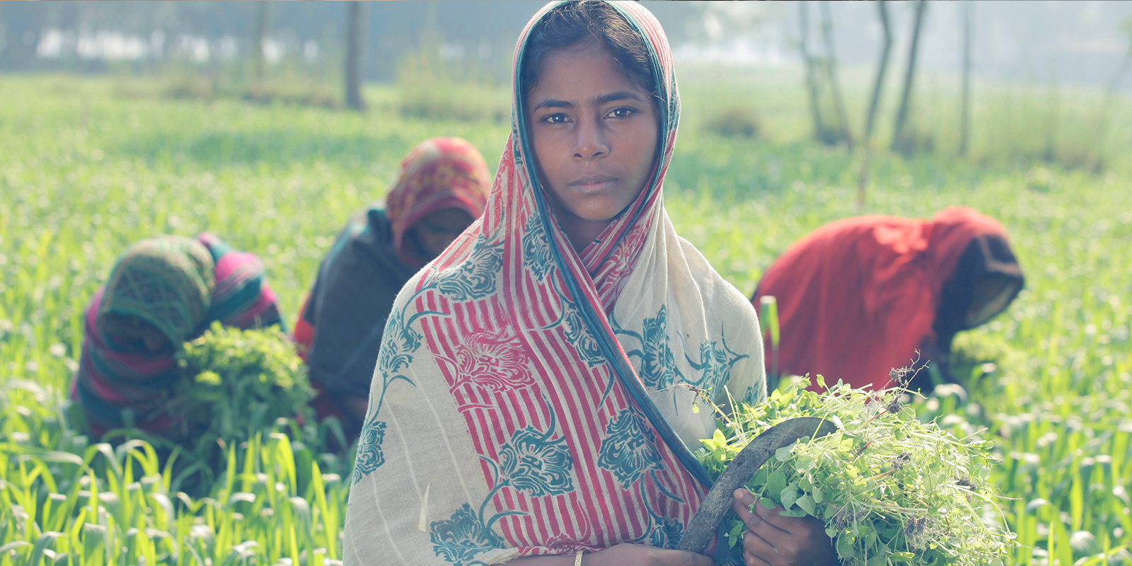 About Us - Islamic Charity - Muslim Charity | Islamic Relief Ireland